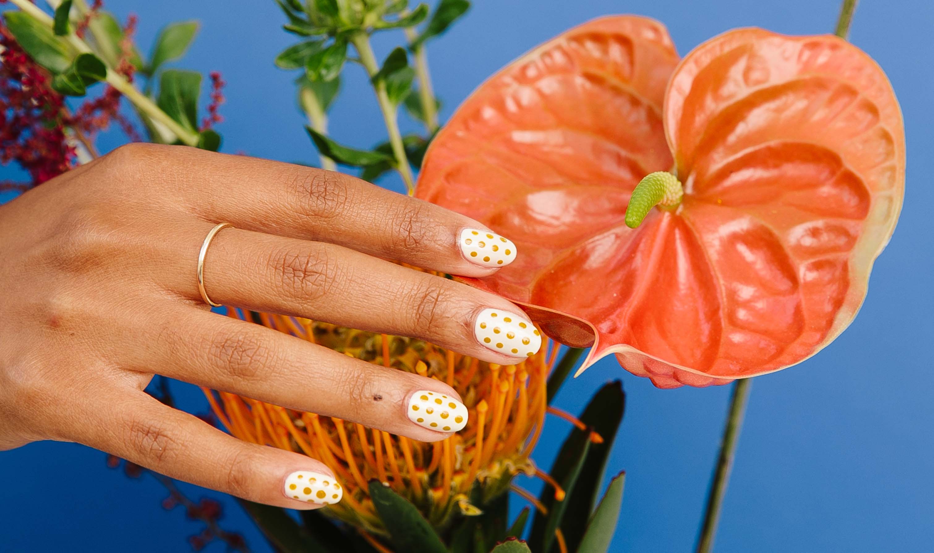 New and Now: Spring–Summer 2022 – Paintbox